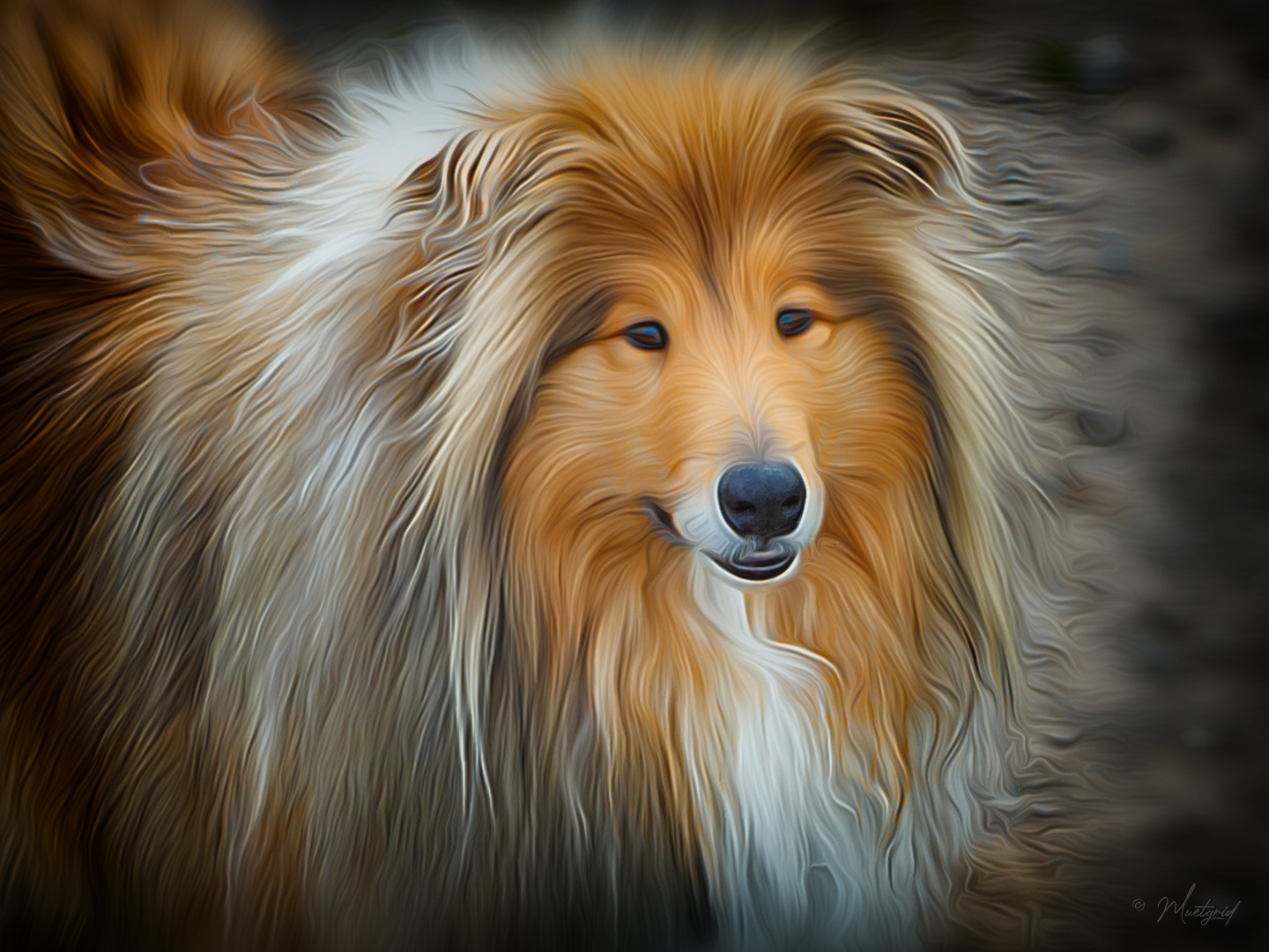 Luca Foto & Bild | spezial, outdoor, hunde Bilder auf fotocommunity