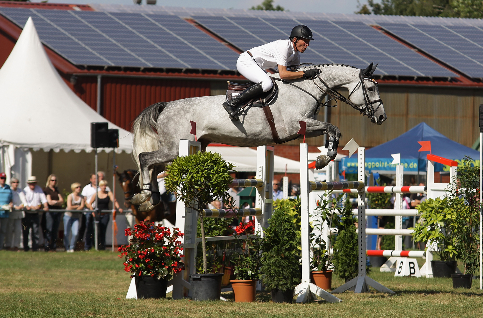 Ludger Beerbaum S-Springen Rheine Wadelheim Foto & Bild | sport, sport ...