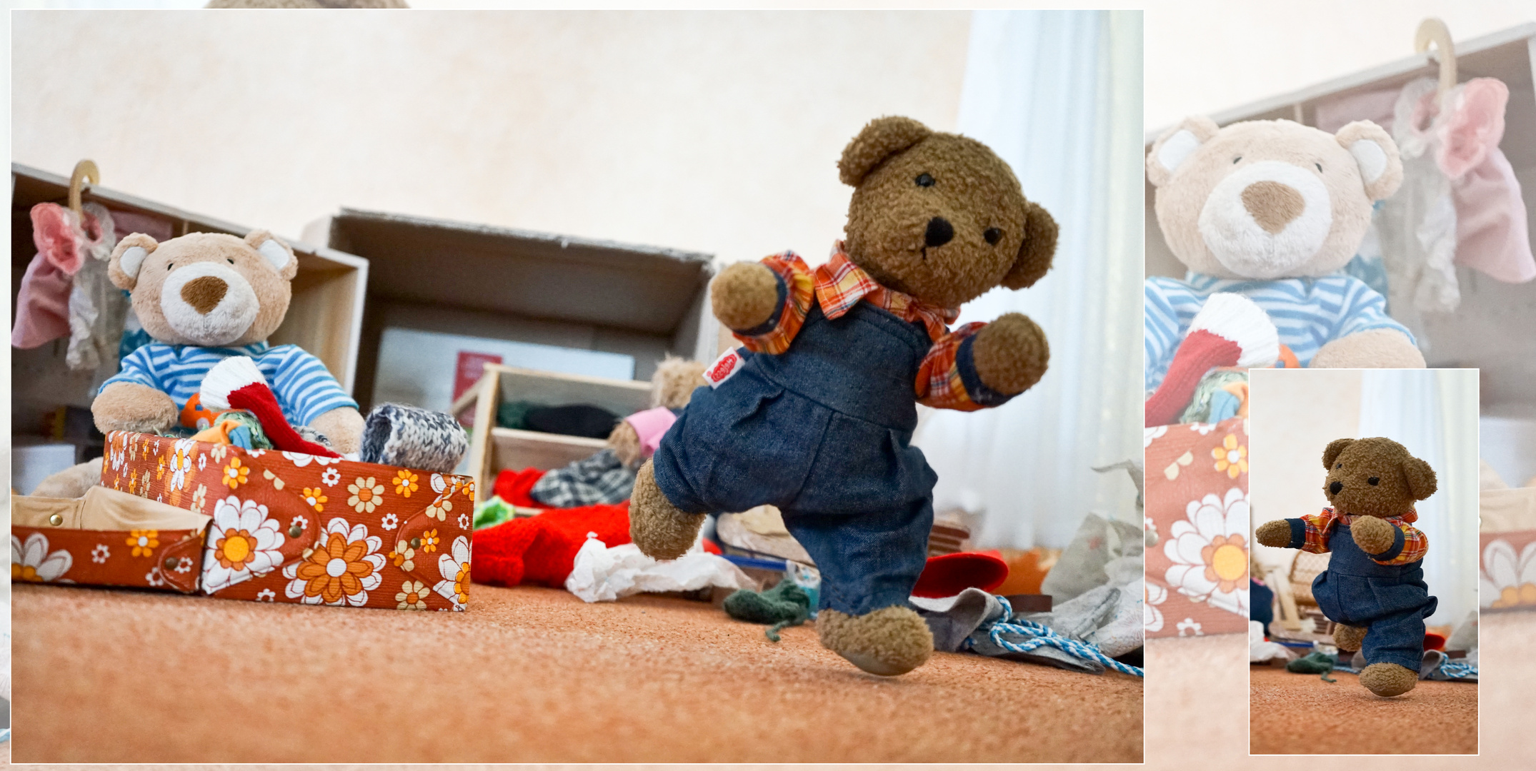 Ludwig freut sich auf zuhause Foto & Bild | projekte, ludwig reist um ...