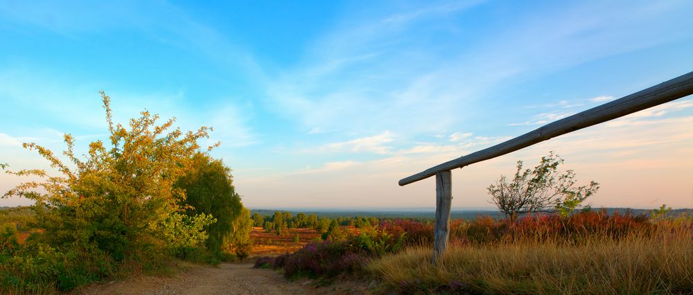 Lüneburger Heide - Die Heidmark Foto & Bild | natur, landschaft, heide ...
