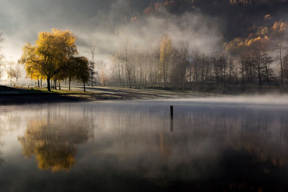 Lueur de brume photo et image | nature, brume, lac Images fotocommunity