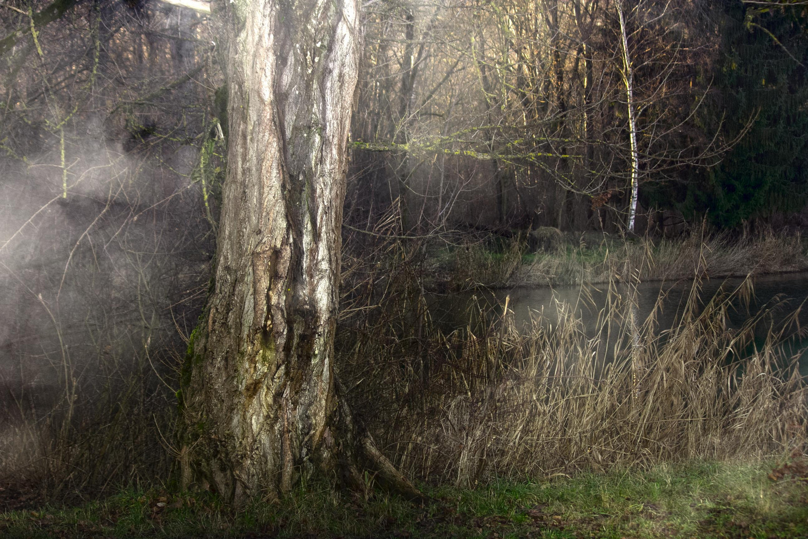 Lugubre........ photo et image | paysages, lacs, rivières, cascades ...