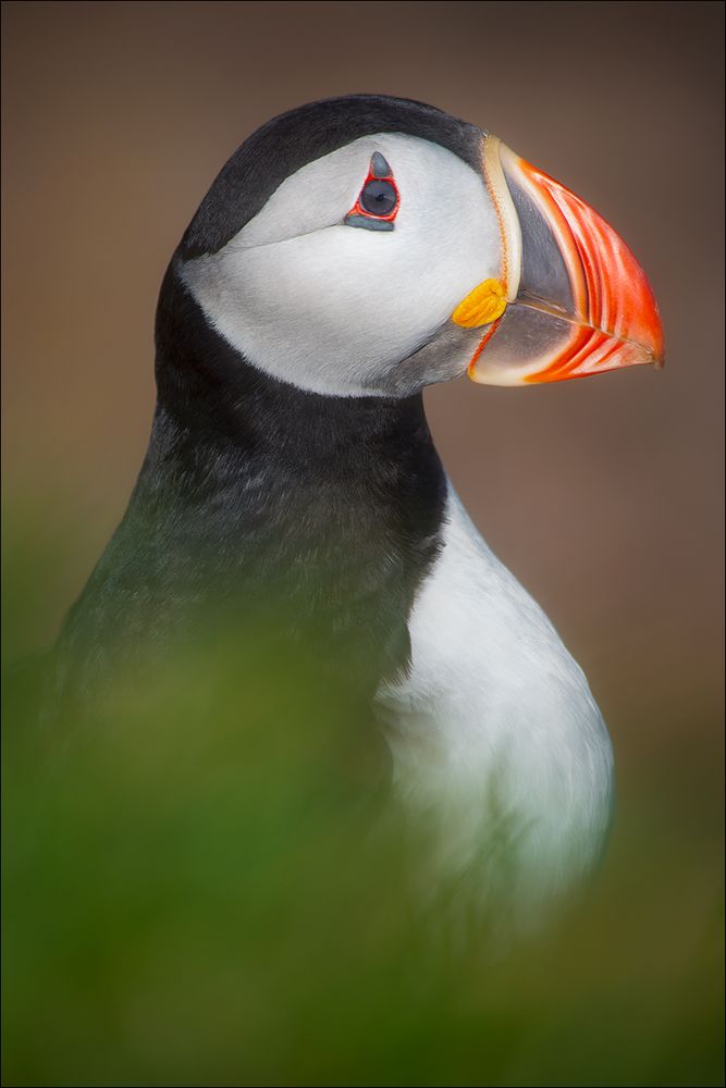 lundi ] Foto & Bild | europe, scandinavia, iceland Bilder auf fotocommunity