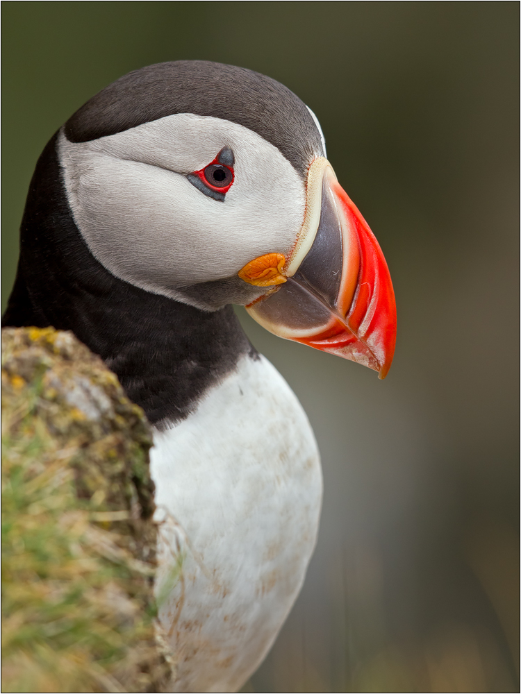 Lundi - Iceland 2011 Foto & Bild | europe, scandinavia, iceland Bilder ...