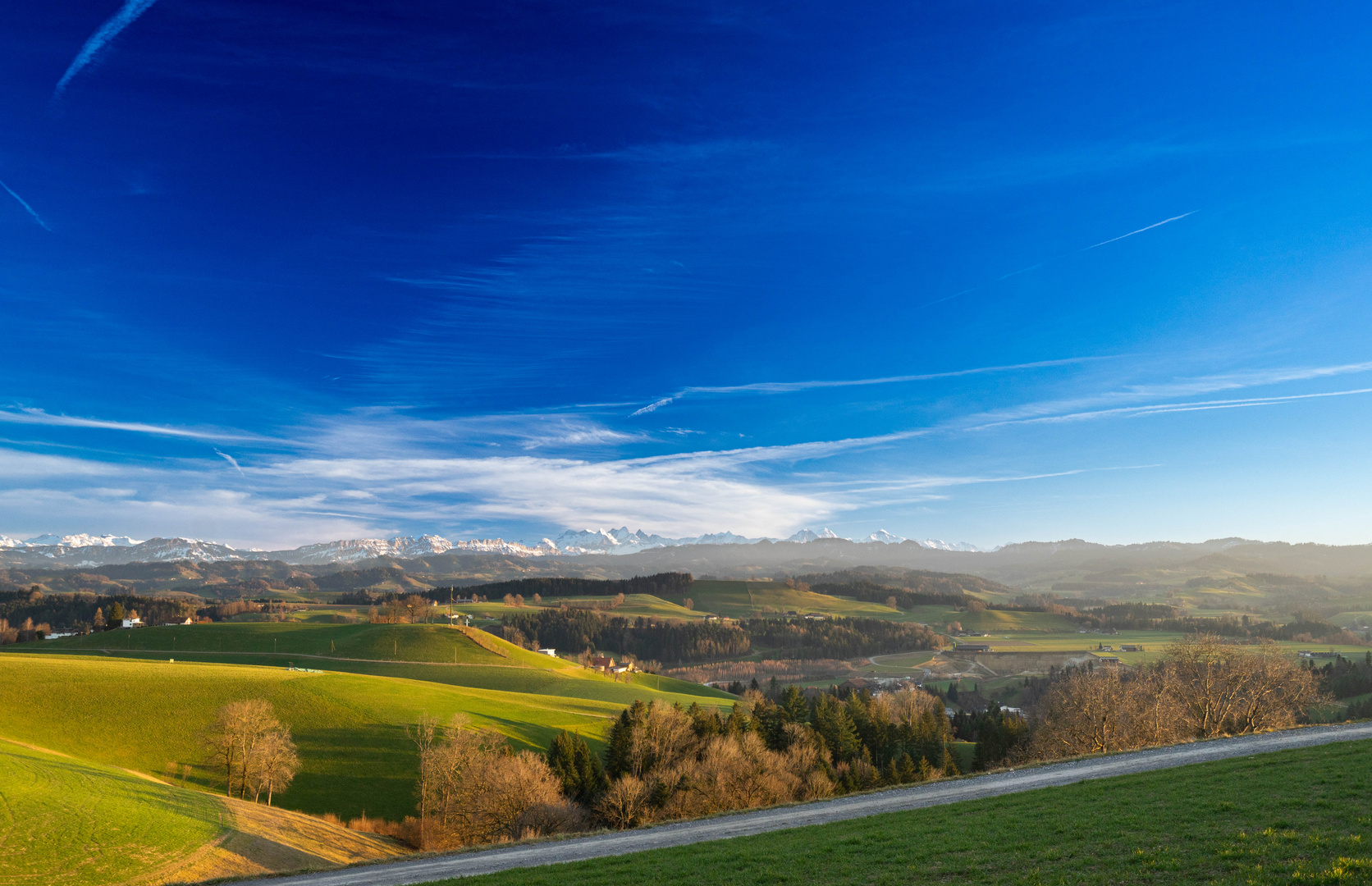 Luzerner Hinterland Foto & Bild | fotos, wald, bäume Bilder auf ...