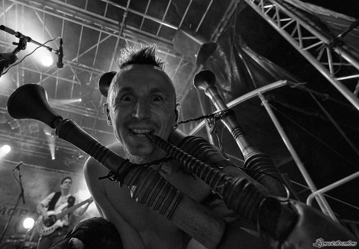 Luzi das L Foto & Bild | kunstfotografie & kultur, musik & konzert ...