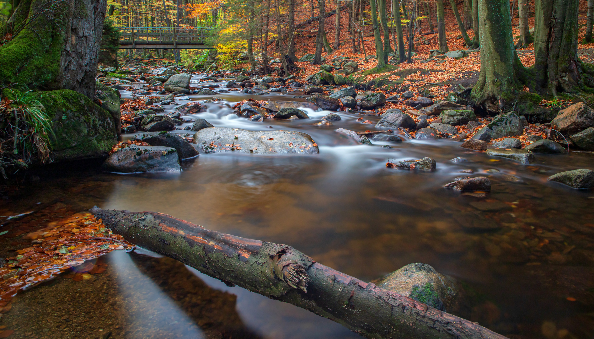 LZB im Ilsetal Foto & Bild | landschaft, bach, fluss & see, fotos ...