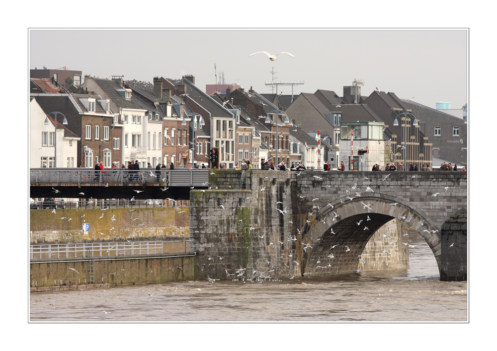 Maastricht Foto & Bild | europe, benelux, netherlands Bilder auf fotocommunity