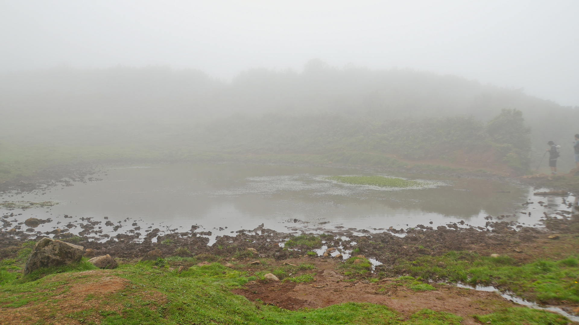 Madeira_2023_29_Madeira-PR6 Im Lorbeerwald,vom Kratersee Foto & Bild ...