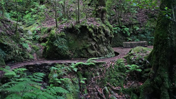 Madeira Bilder & Fotos