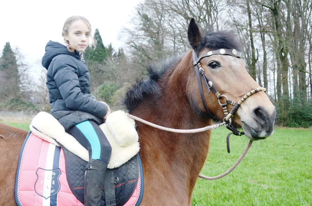 Mädels mit Pferd Foto & Bild | erwachsene menschen, pferde, people ...