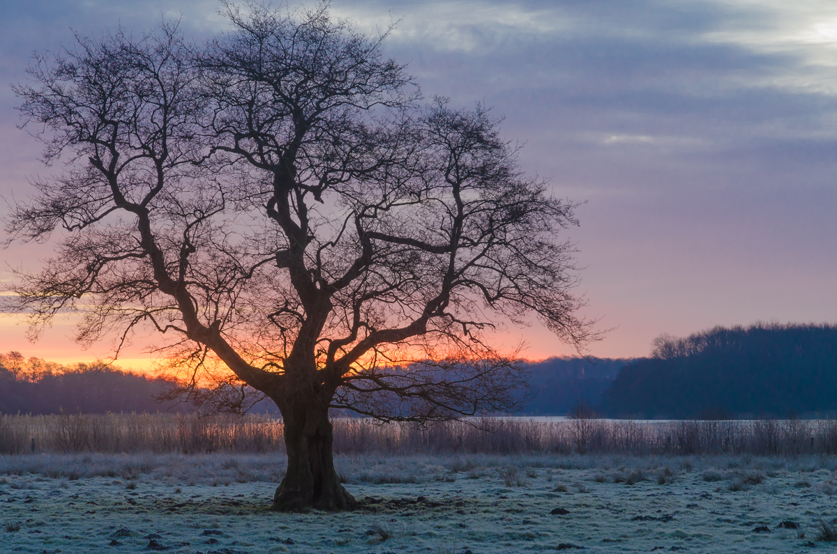 März Sonnenaufgang Foto & Bild | landschaft, bach, fluss & see, see, teich & tümpel Bilder auf ...