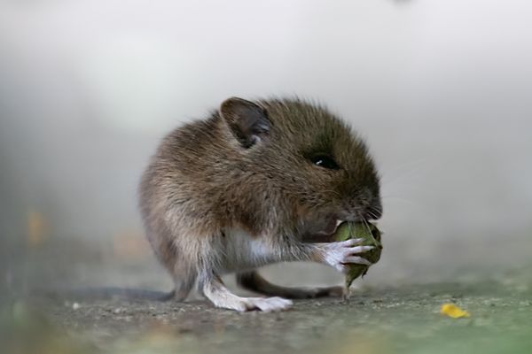 Martin Wohlgemuth - Fotos & Bilder - Fotograf aus Sprockhövel ...