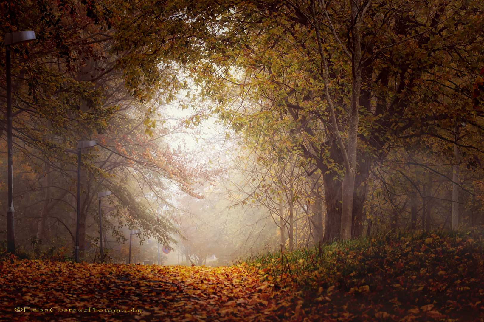 magic fall Foto & Bild | digiart Bilder auf fotocommunity
