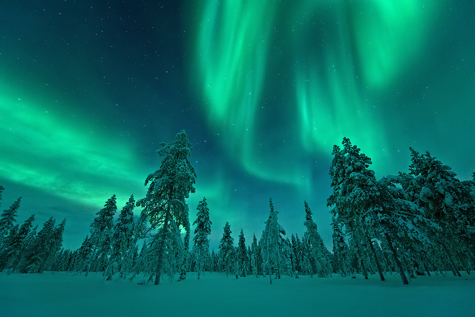 magic forest ] Foto & Bild | europe, scandinavia, finland Bilder auf ...