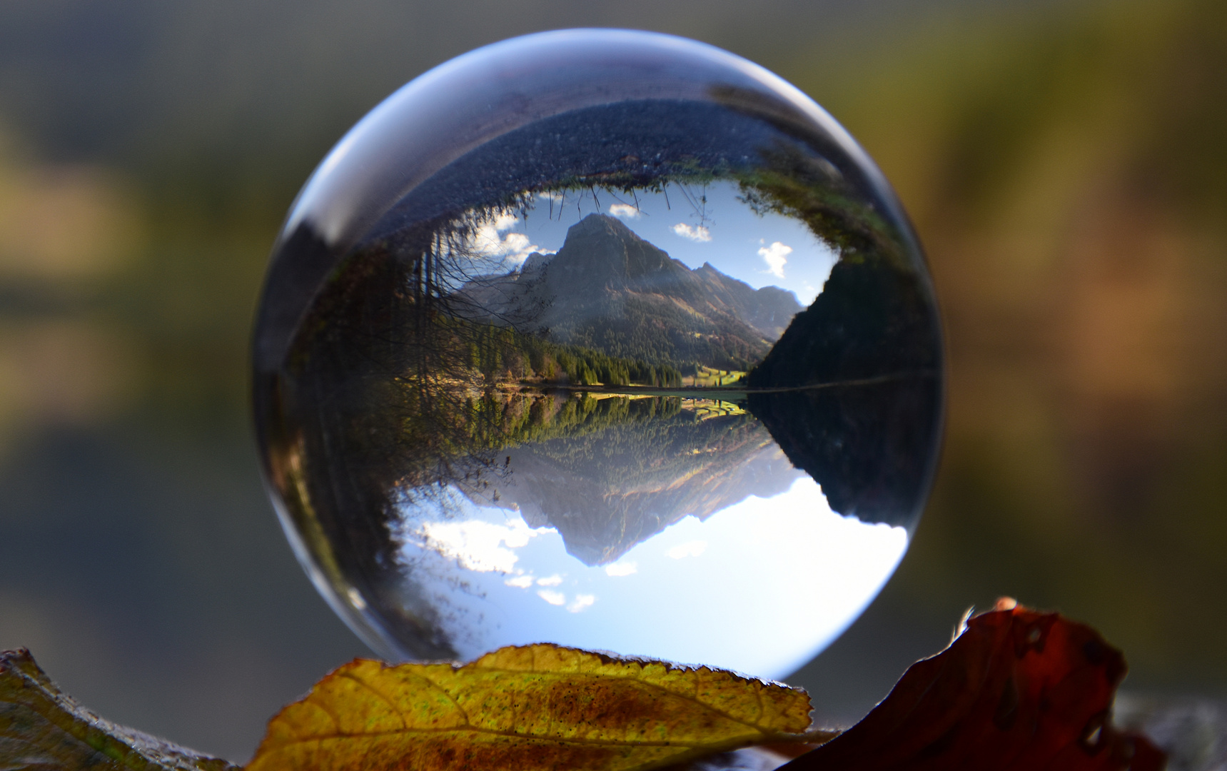 Magic Glass Ball Foto & Bild | jahreszeiten, herbst, natur-kreativ ...
