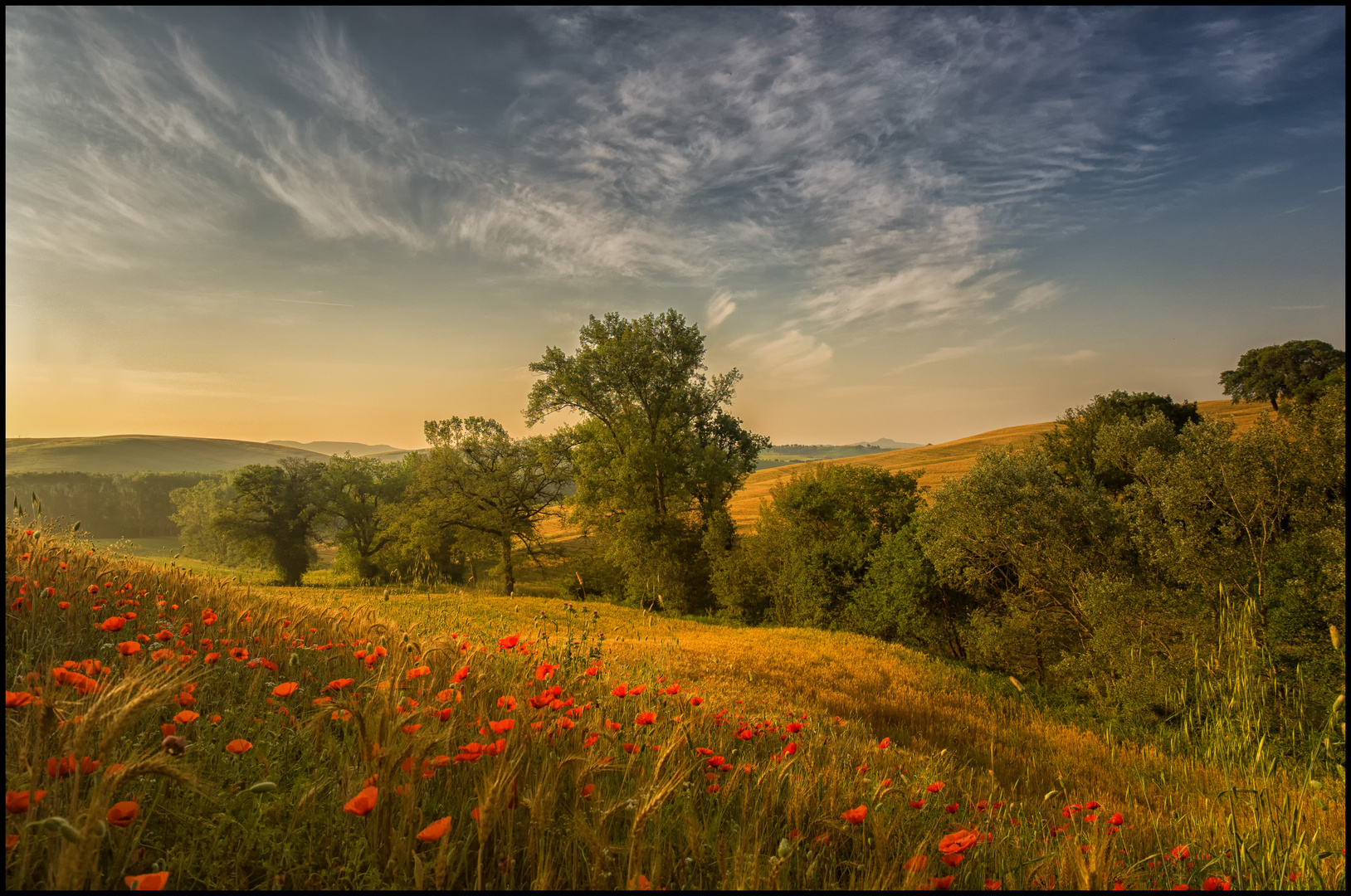 Magic Morning Foto & Bild | landschaft, Äcker, felder & wiesen, mohn ...