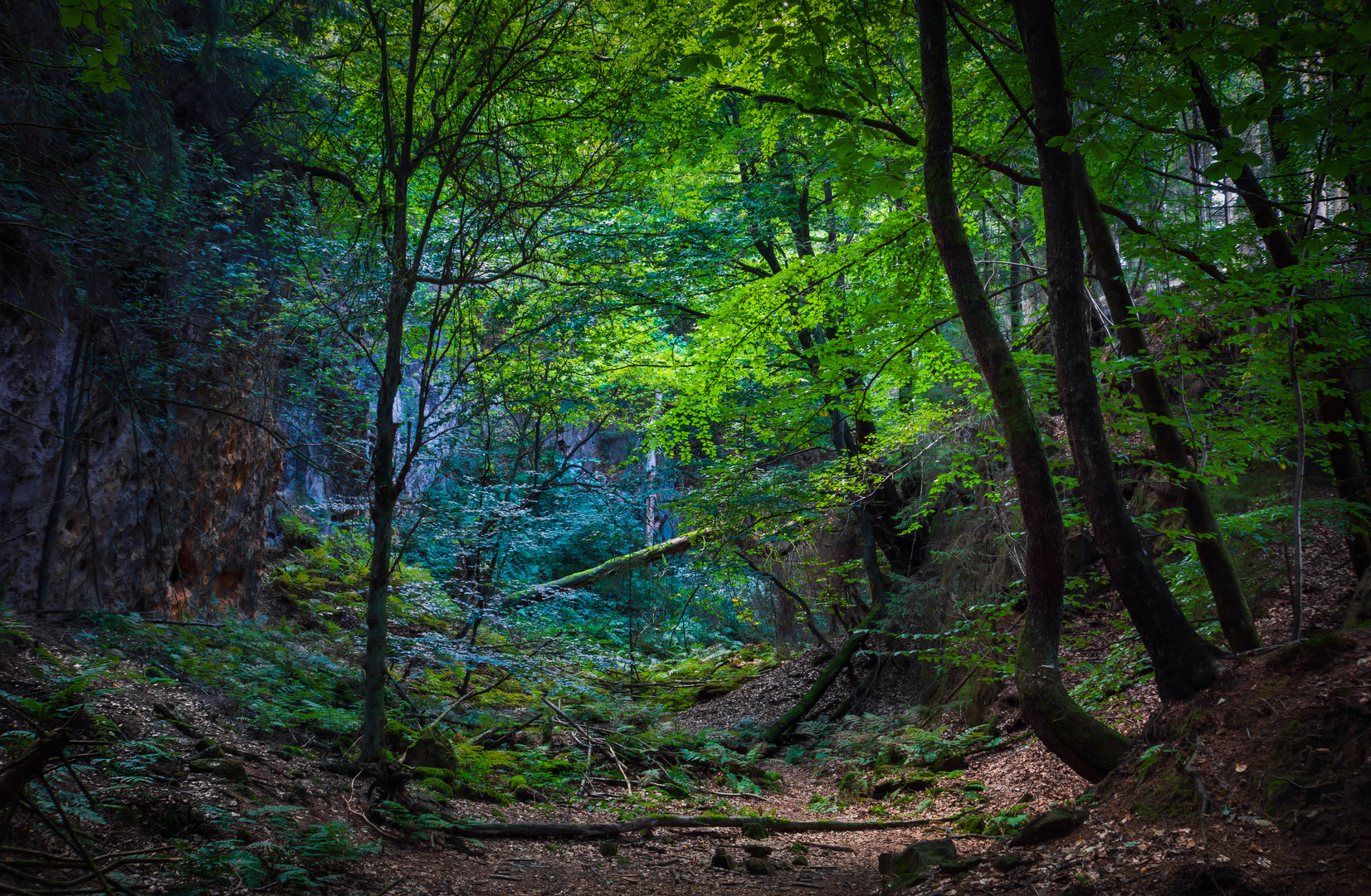 magic place Foto & Bild | landschaft, wald, fotos Bilder auf fotocommunity