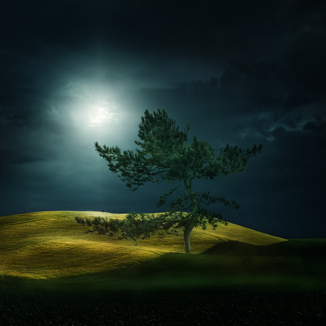 magisch Foto & Bild | fotomontage, surreal, baum Bilder auf fotocommunity