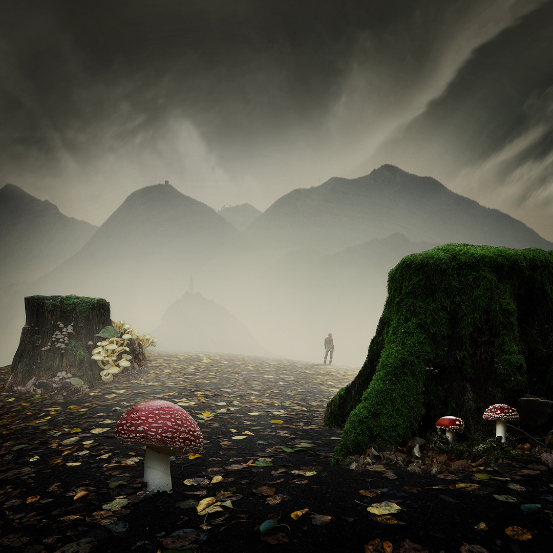 magisch Foto & Bild | fotomontage, composing , surreal Bilder auf fotocommunity