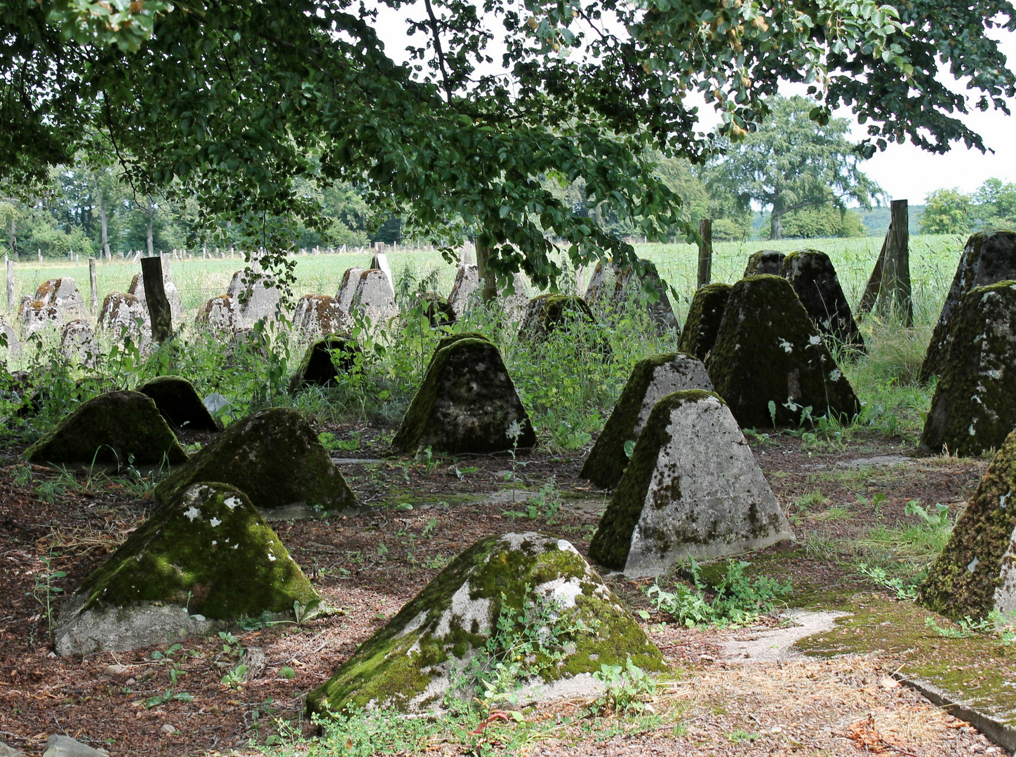 Mahnmal gegen Krieg Foto & Bild | deutschland, europe, rheinland-pfalz ...