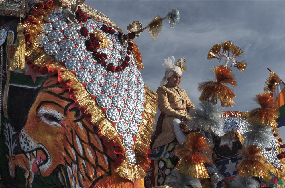 Mahout~ Foto & Bild | asia, india, south asia Bilder auf fotocommunity