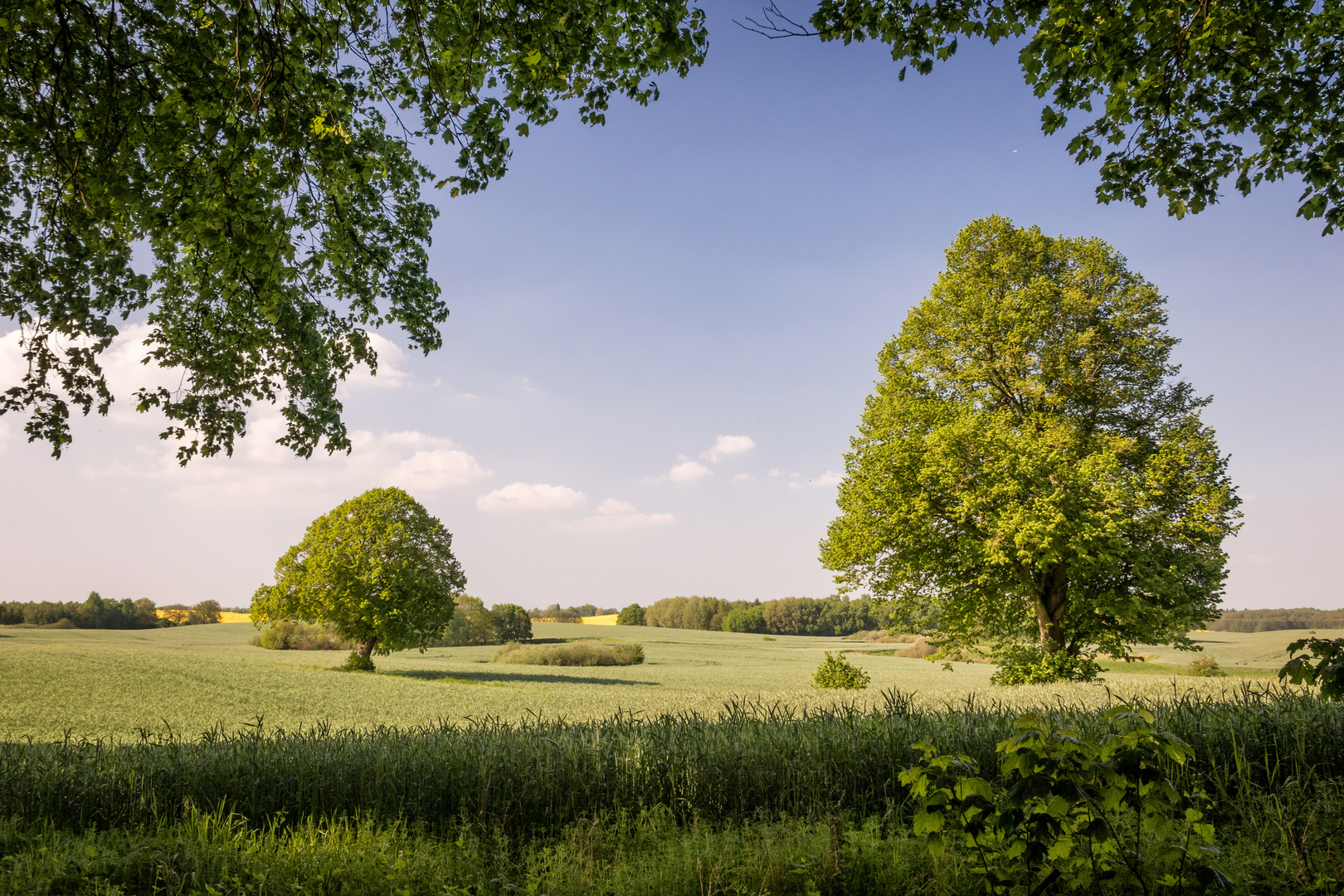 Mai-land Foto & Bild | deutschland, europe, mecklenburg- vorpommern ...