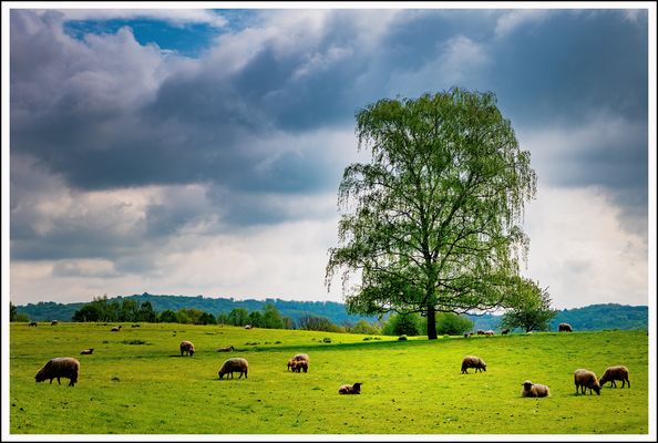 Hessen Bilder & Fotos