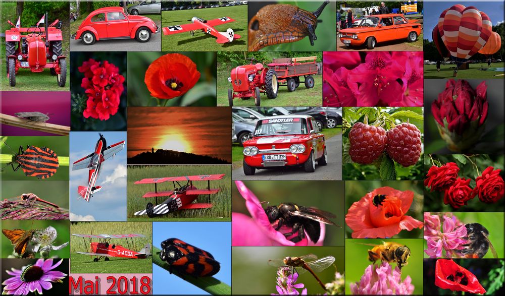 Mai Rückblick 2018 Foto & Bild | karten und kalender, fotokalender ...