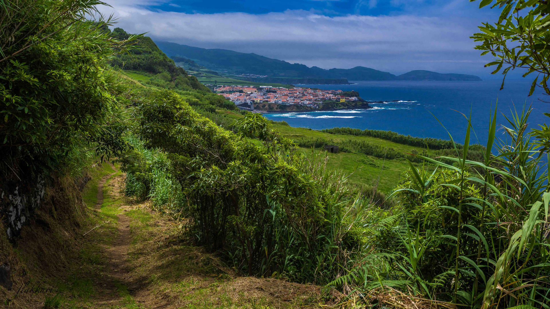 Maia Foto & Bild | grün, meer, natur Bilder auf fotocommunity