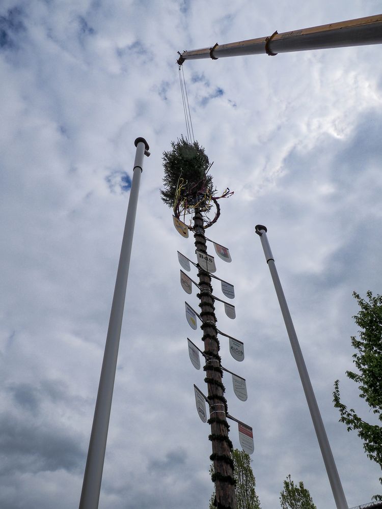 Maibaum 5 Foto & Bild | reportage dokumentation, fotos, dokumentation ...