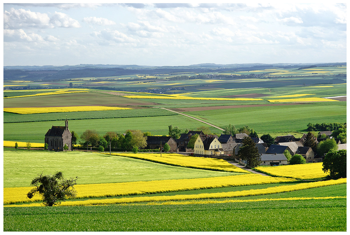 "Maifeld-Frühling 1" Foto & Bild | world, landwirtschaft, deutschland ...