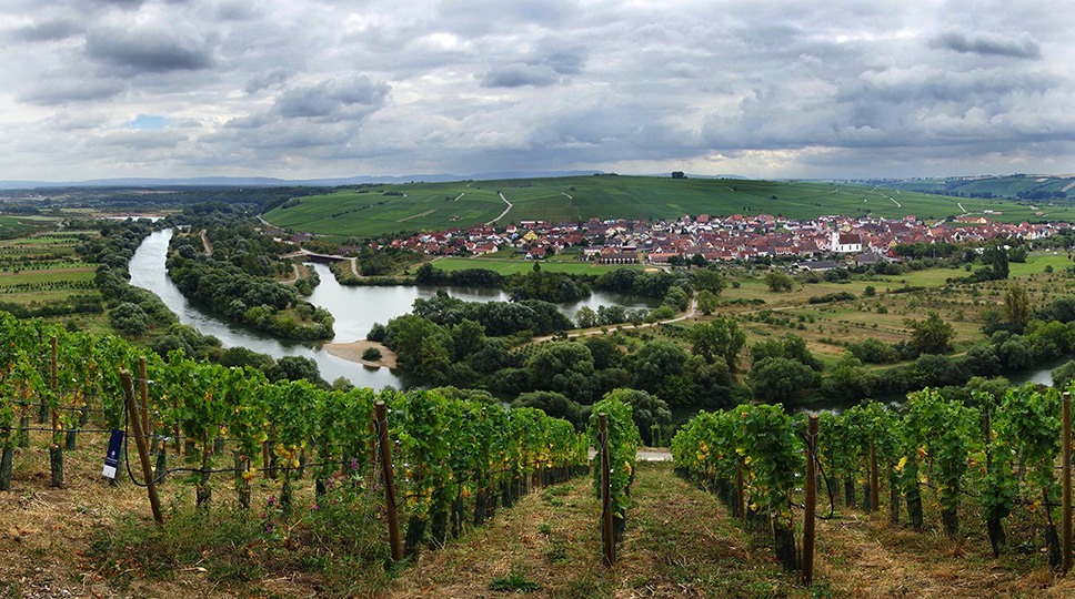 Mainschleife bei Volkach Foto & Bild | landschaft main volkach ...