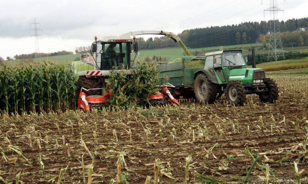 Mais Ernte Foto & Bild | industrie und technik, landwirtschaftliche ...