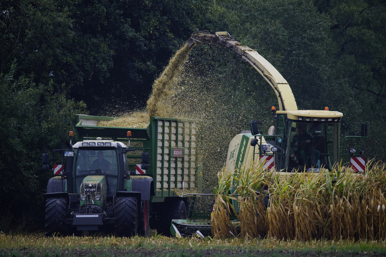 Maisernte. Foto & Bild | industrie und technik, traktoren ...
