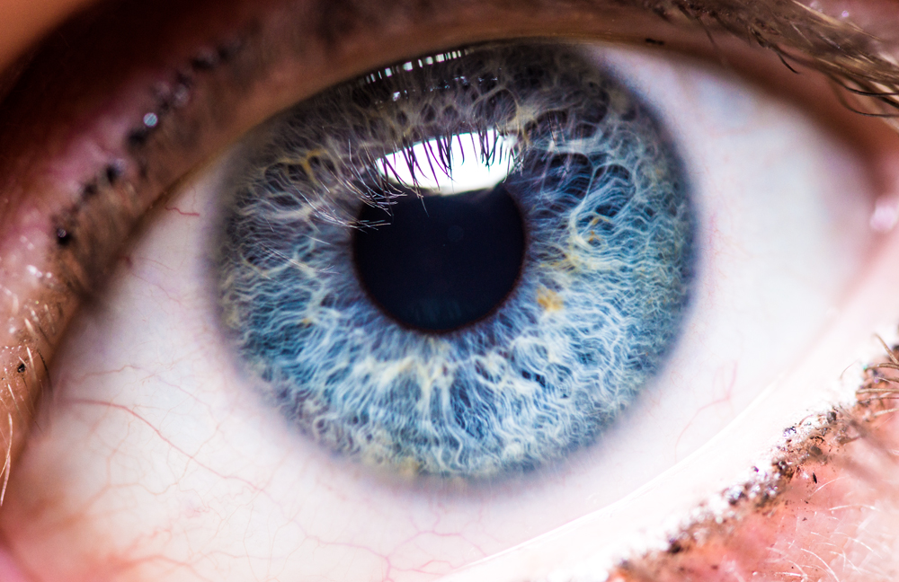 Makro Auge Foto & Bild | fotos von teilen des gesichts, körperdetails ...