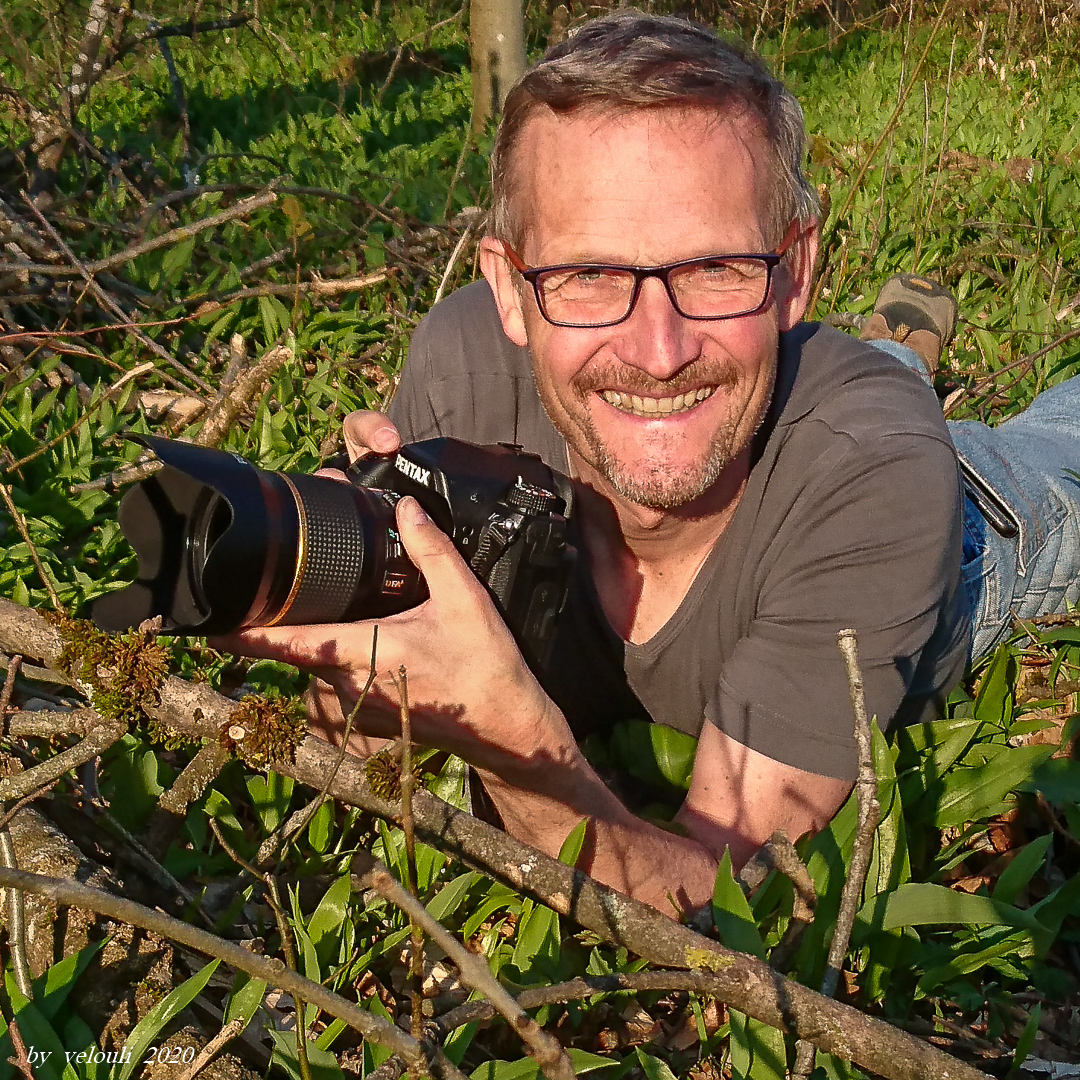 Makrofotografie Foto & Bild | wald, outdoor, makro Bilder auf fotocommunity