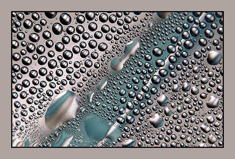 Makrowelten Foto & Bild | nah- & makro, techniken, aufnahme-techniken Bilder auf fotocommunity