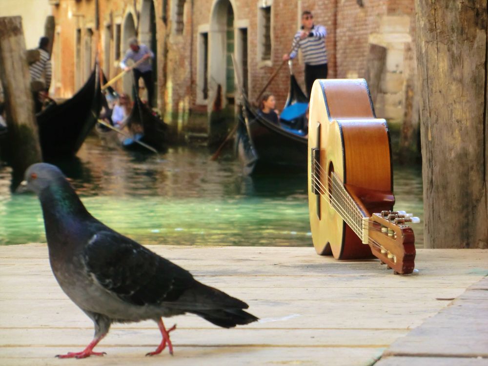 Mal eben durchs Bild gelaufen Foto & Bild | erwachsene menschen, kunstfotografie & kultur ...