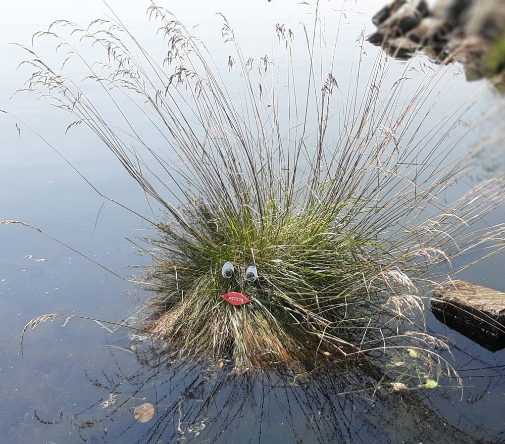 mal was lustiges Foto & Bild | outdoor, natur Bilder auf fotocommunity