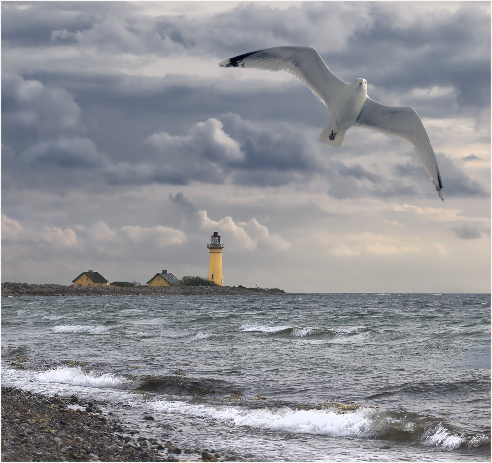 mal was vom Meer ... Foto & Bild | tiere, wildlife, wild lebende vögel ...