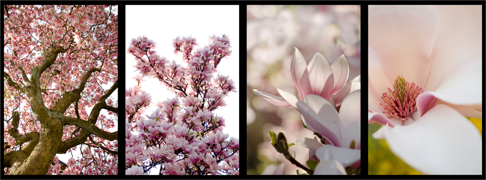 David Gärtner - Fotos & Bilder - Fotograf aus Neuenbürg, Deutschland ...