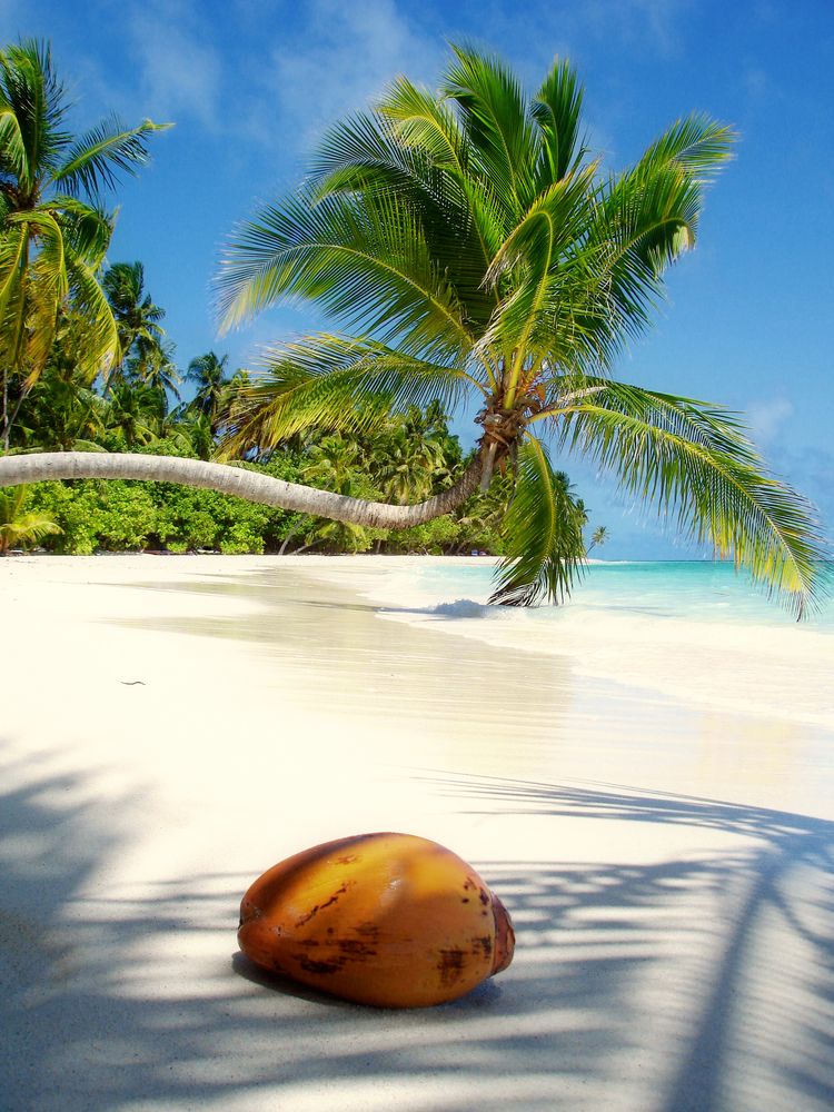 Malediven Foto & Bild | asia, indian ocean, malediven Bilder auf ...