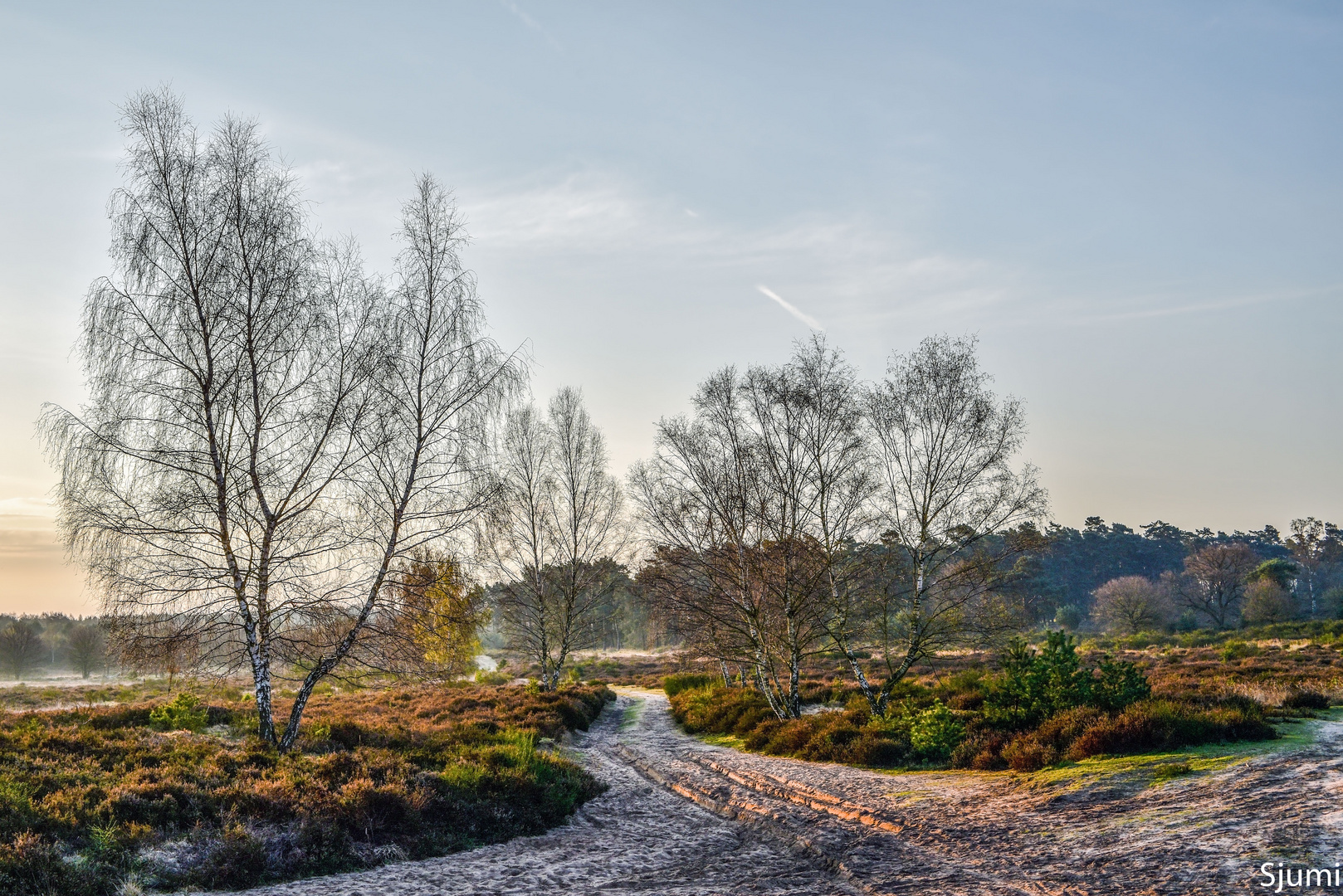 Malerische Wahner Heide Foto & Bild | natur, landschaft, heide Bilder ...