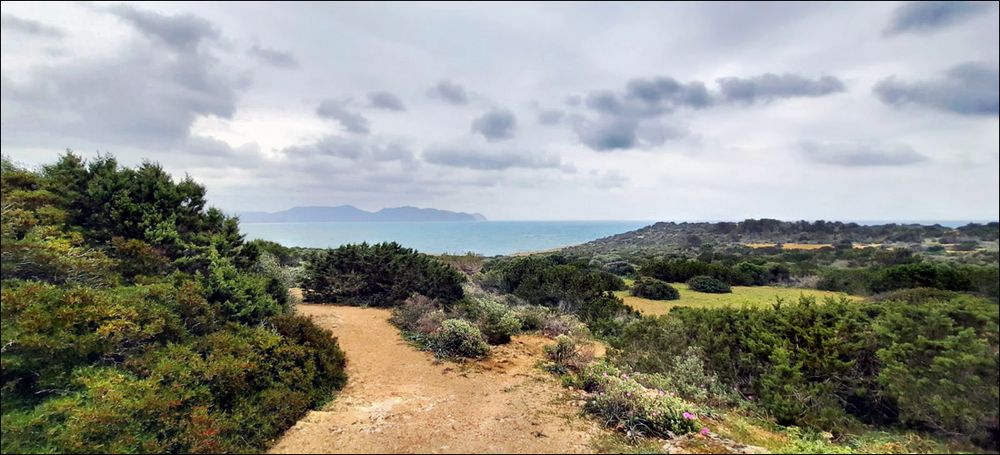 Malle Foto & Bild | europe, balearic islands, spain Bilder auf ...