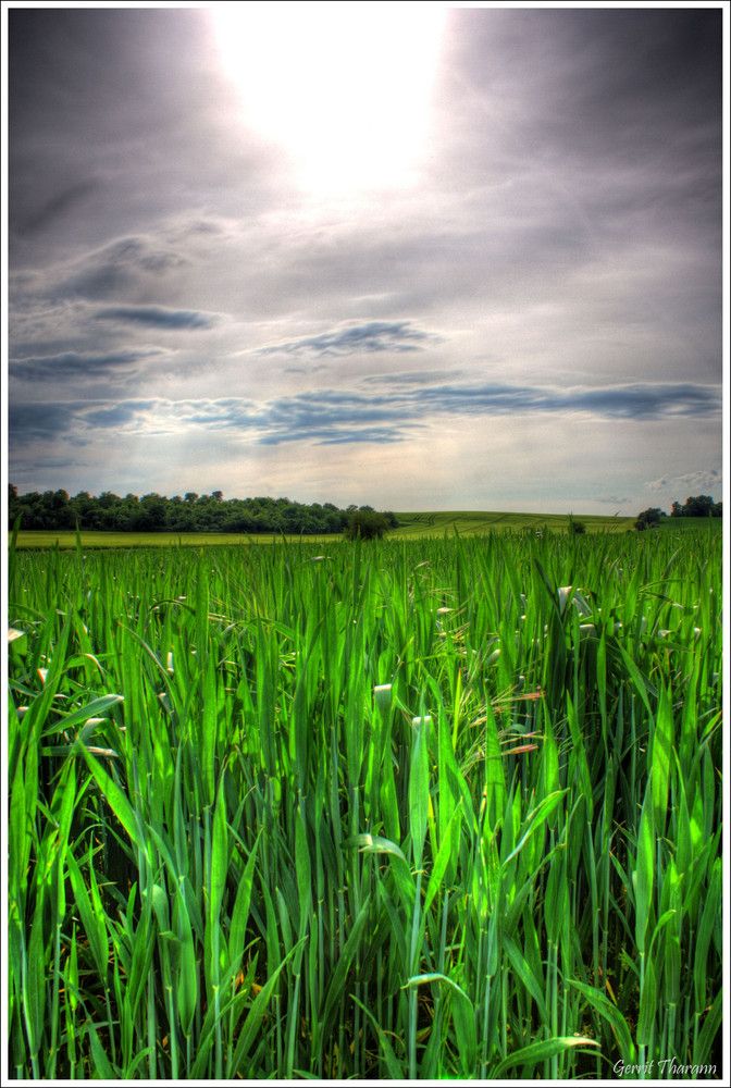 man is das gras hoch :-P Foto & Bild | bearbeitungs - techniken, hdri ...