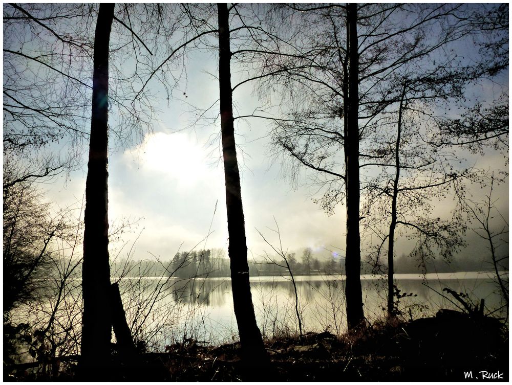 Man ist ganz allein und genießt , Foto & Bild | landschaft, bäume ...