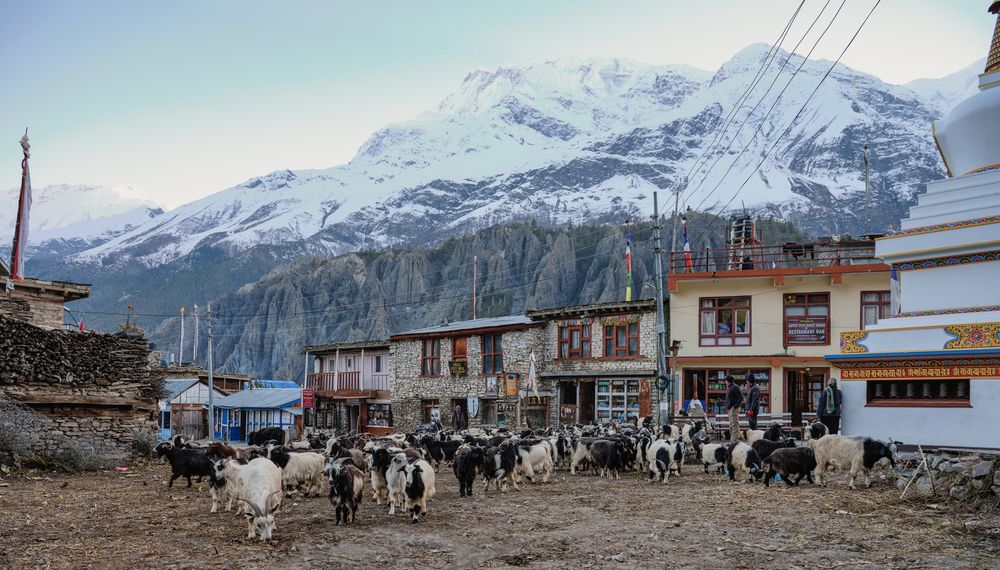 Manang Foto & Bild | world, outdoor, natur Bilder auf fotocommunity