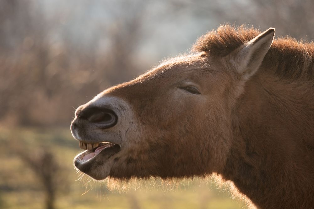 Manche Leute sind echt komisch Foto & Bild | quatsch, fun und ...