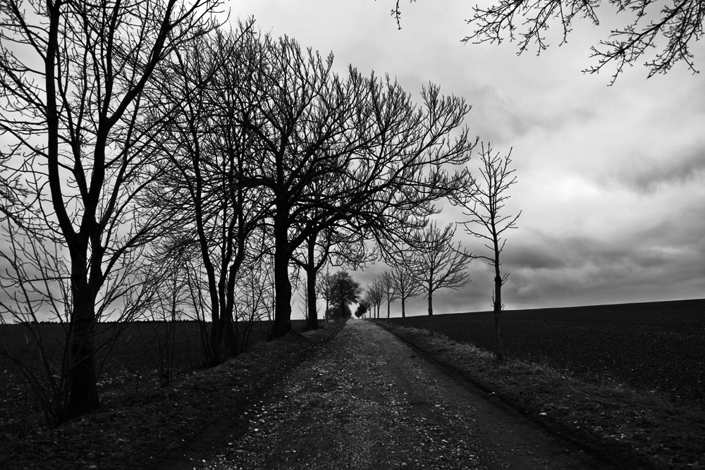 Manchen Weg muss man erst gehen, um zu wissen wo er hin führt. Foto ...